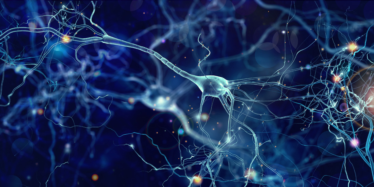 BS2.03 The Neurophysiology of the Subluxation – Chiros Academy