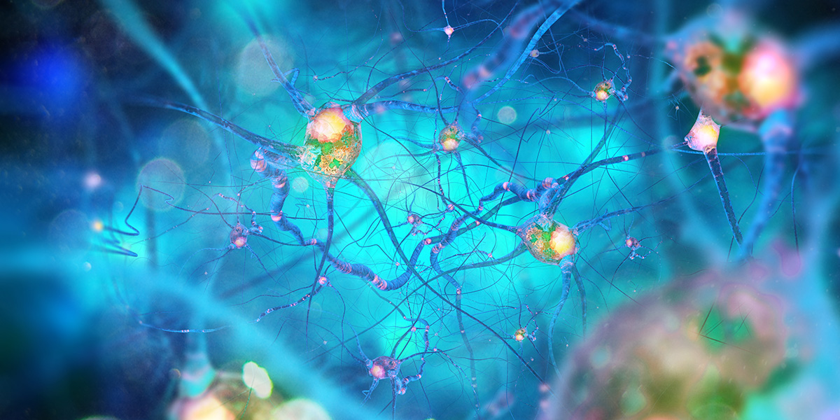 BS2.01 Introduction to the Neuroplasticity Model – Chiros Academy